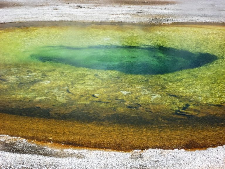 Yellowstone Hot Springs: Extremophiles - Anita Sanchez