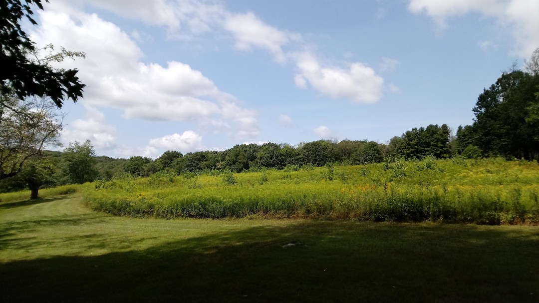 Edna St. Vincent Millay: Steepletop - Anita Sanchez