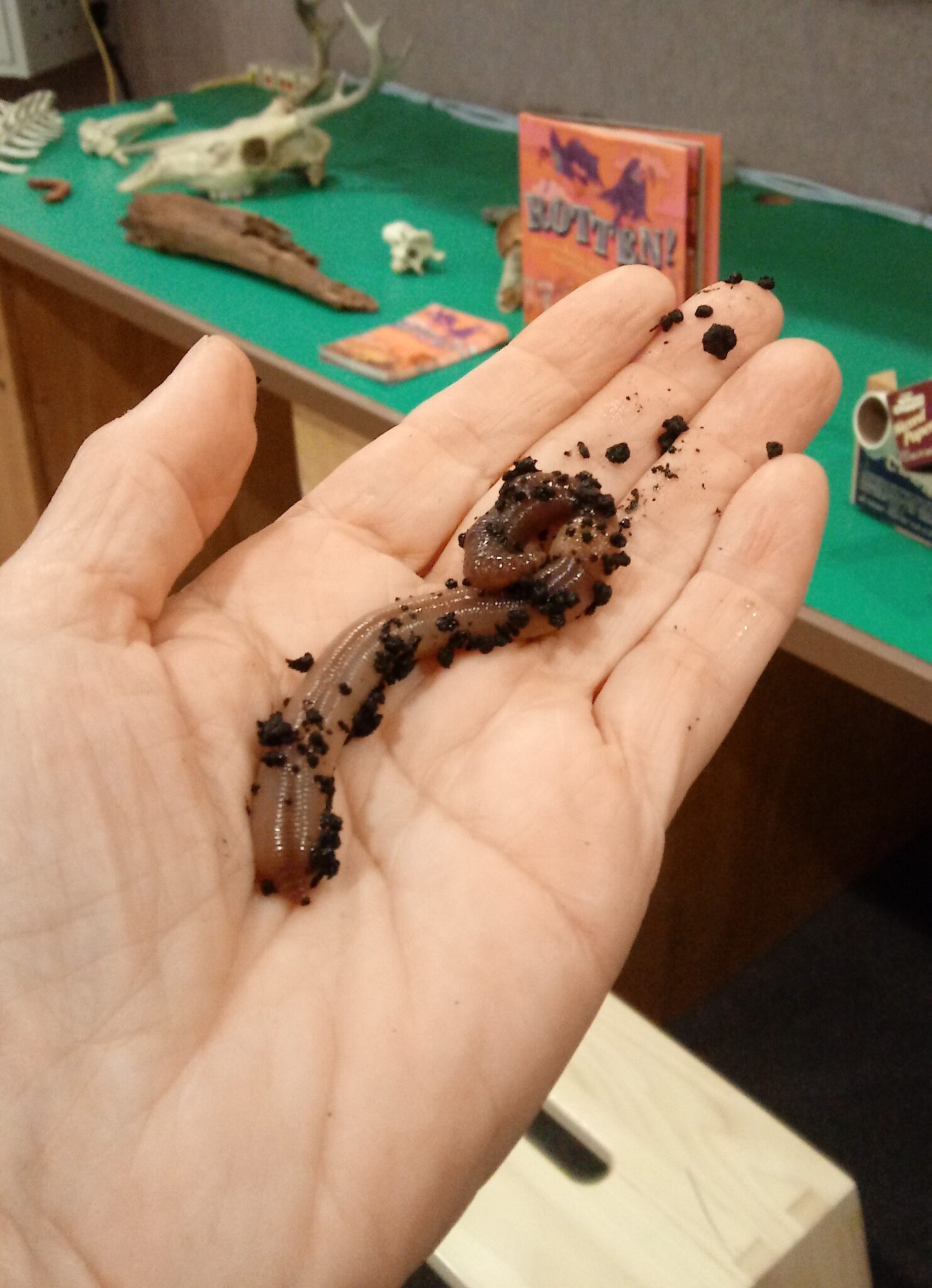 Science Outdoors: Close Encounters - Anita Sanchez